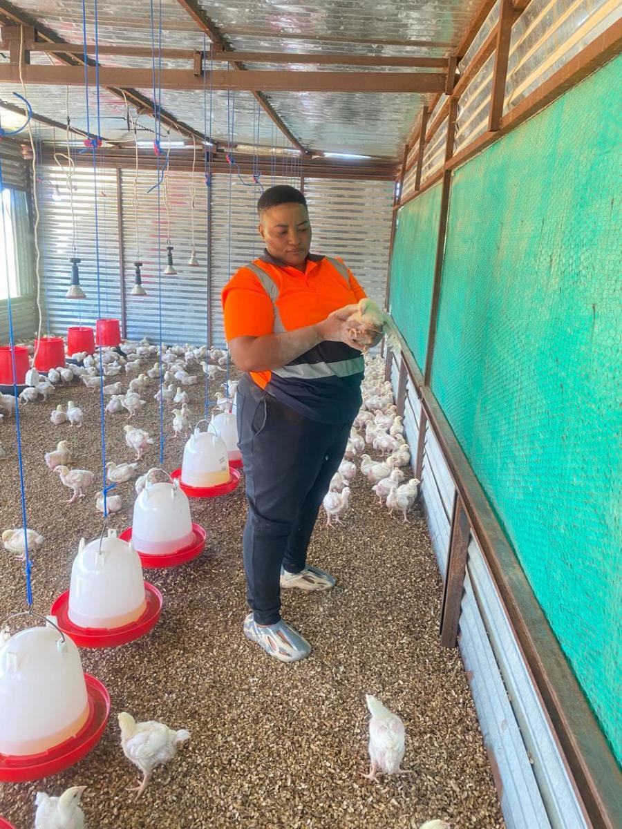 Retrenched woman finds joy in poultry venture | Vuk'uzenzele
